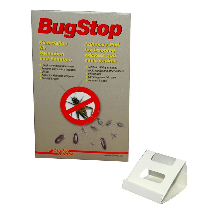 Lucky Reptile BugStop Cricket Trap (6-pack) – Warehouse Aquatics