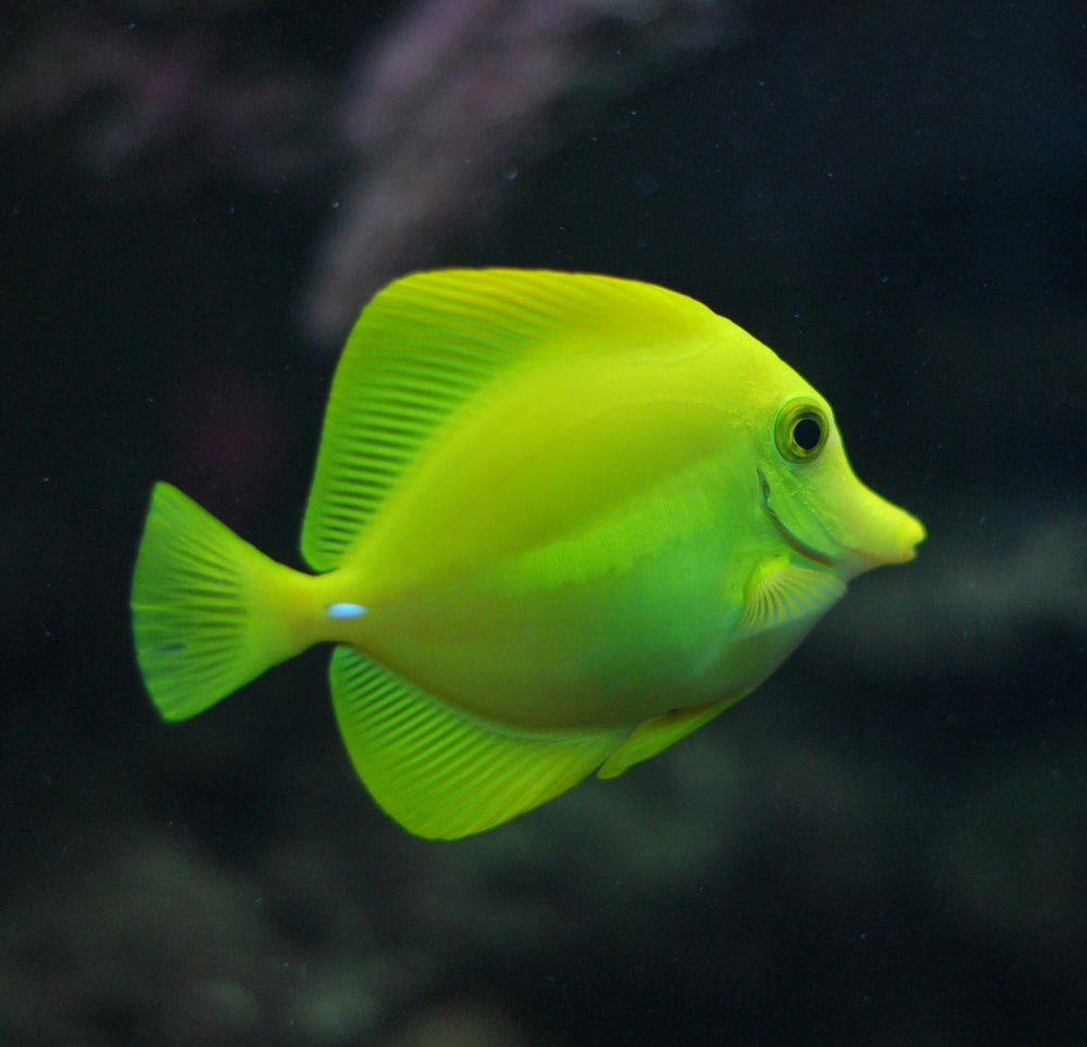 Warehouse Aquatics | Aquatic & Pond Supplies at the best prices