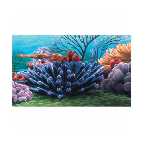 Finding Nemo Coral Reef Poster Background 51 x 31cm